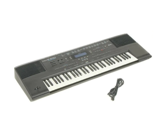 Roland E-500 with excellent music styles and high-quality sounds ...