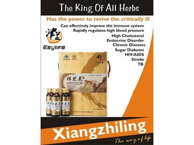 Xiangzhiling for sale | Health and Beauty Services